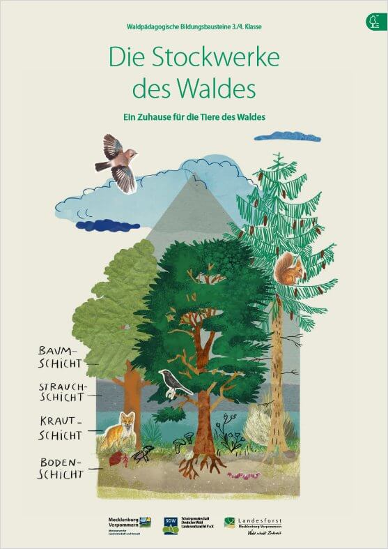 Bildungsbausteine - Wald-MV